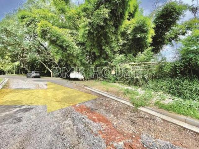 Terreno para Venda em Cotia, Vila Santo Antônio