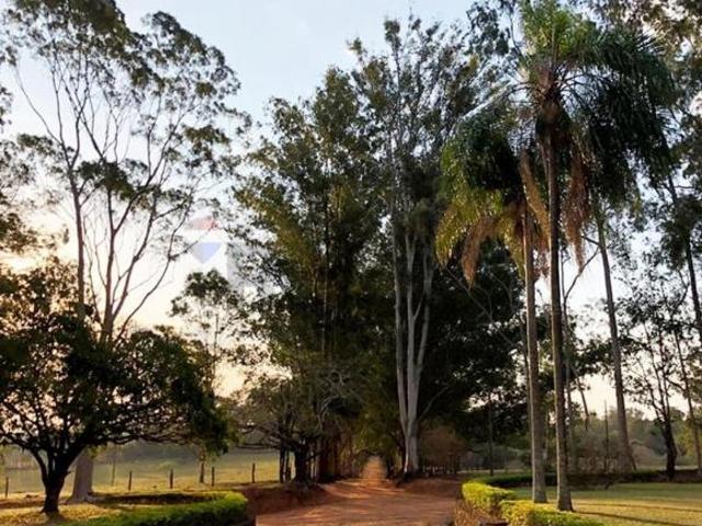 Terreno para venda em Colinas Do Castelo de 250.00m²