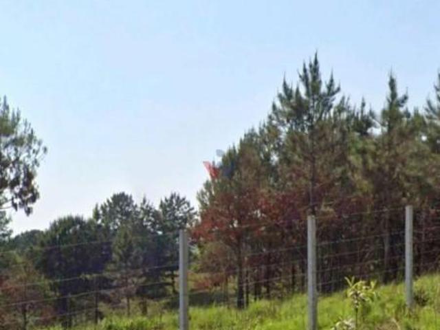 Terreno para venda em Colônia Faria de 159278.00m²