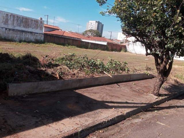 Terreno para venda em Concórdia I em Araçatuba São Paulo de 0.01m²