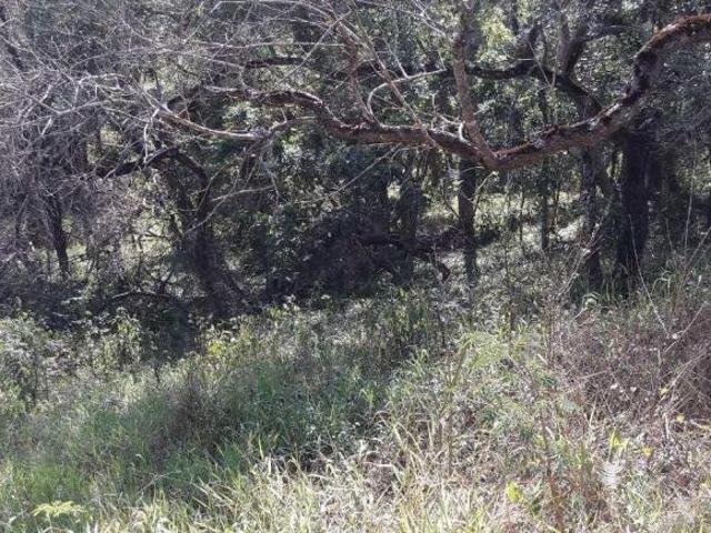 Terreno para venda em Condomínio Voturuna de 5051.00m²