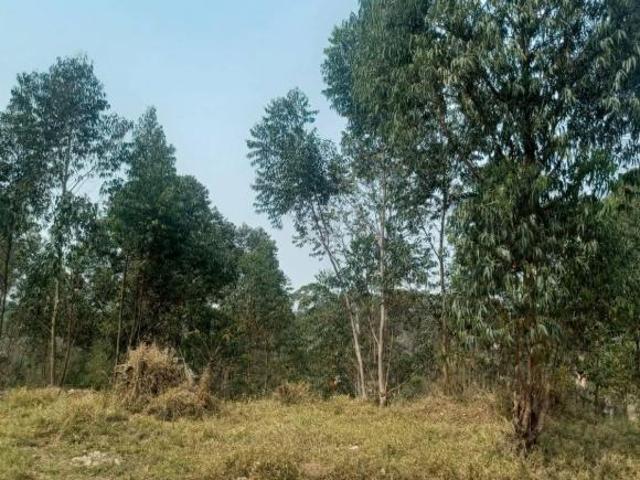 Terreno para venda em Condomínio Cerro Azul de 5025.00m²
