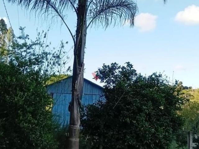 Terreno para venda em Contenda de 1000.00m² com 3 Quartos