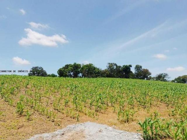 Terreno para Venda em Contenda, Serrinha