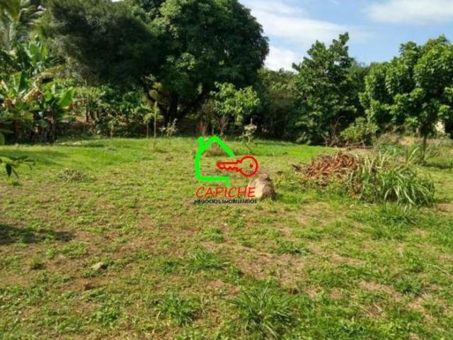 Terreno para venda em Cachoeira de 1000.00m²