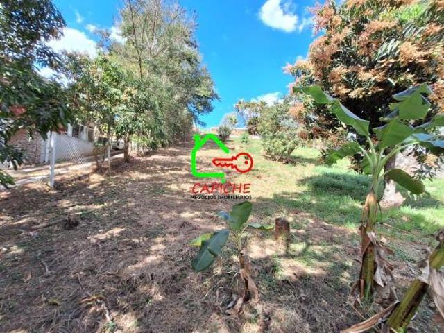 Terreno para venda em Caixa D´água de 1000.00m²