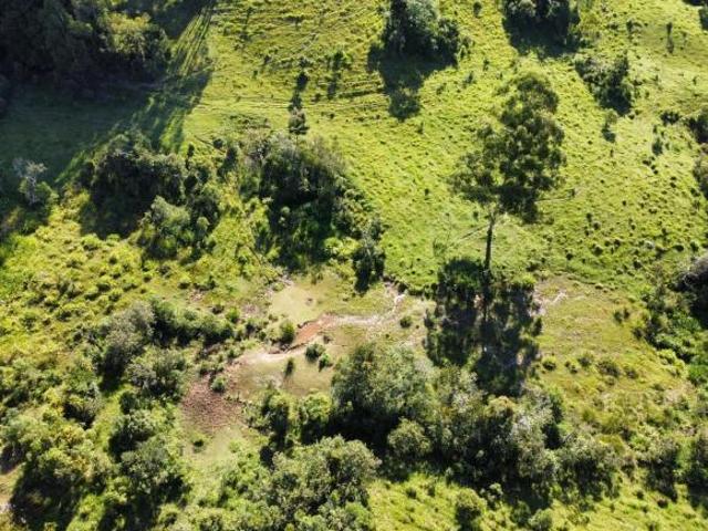Terreno para Venda em Camanducaia, São Bento