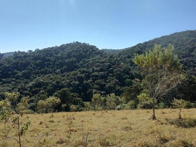 Terreno para Venda em Camanducaia, Toco