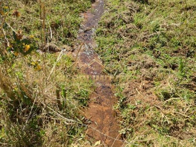 Terreno para Venda em Cambuí, Furnas 5 km da cidade de Cambuí