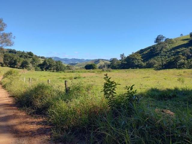 Terreno para Venda em Cambuí, 02 km da cidade