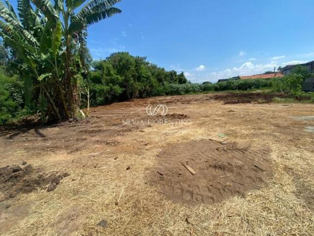 Terreno para venda em Caminho Novo de 3950.00m²