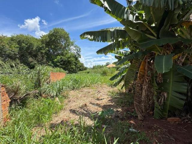 Terreno para Venda em Campo Grande, Jardim TV Morena