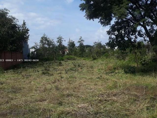 Terreno para Venda em Campo Grande, Vila Nasser
