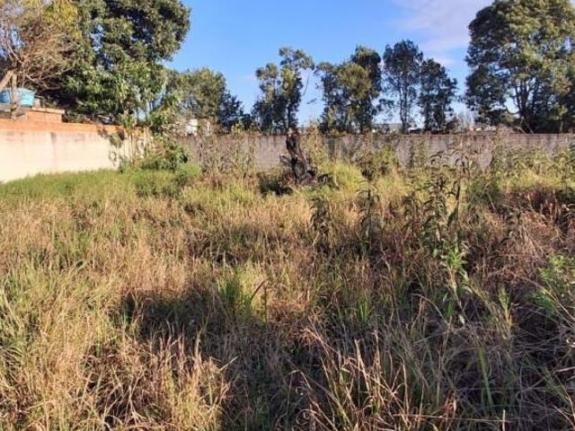 Terreno para Venda em Campo Largo, Guabiroba