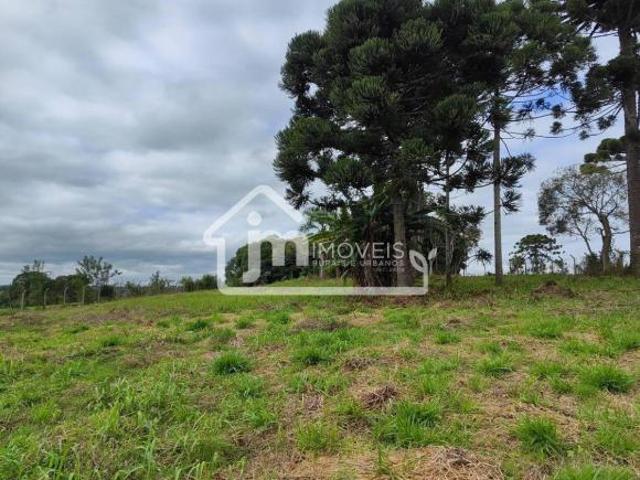 Terreno para Venda em Campo Largo, Fazendinha