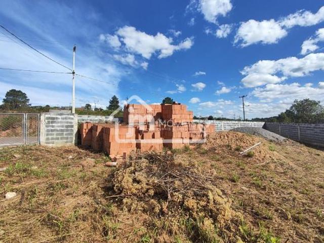 Terreno para Venda em Campo Largo, Jardim Lise