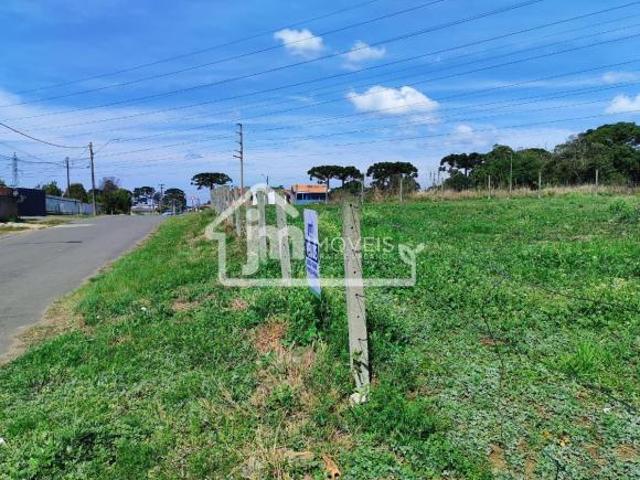 Terreno para Venda em Campo Largo, São Gerônimo