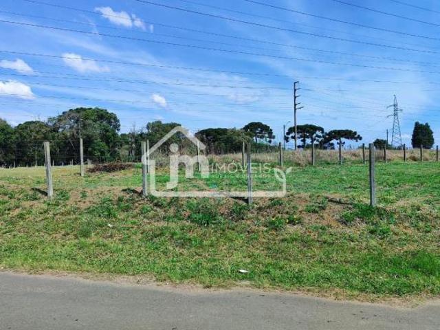Terreno para Venda em Campo Largo, São Gerônimo