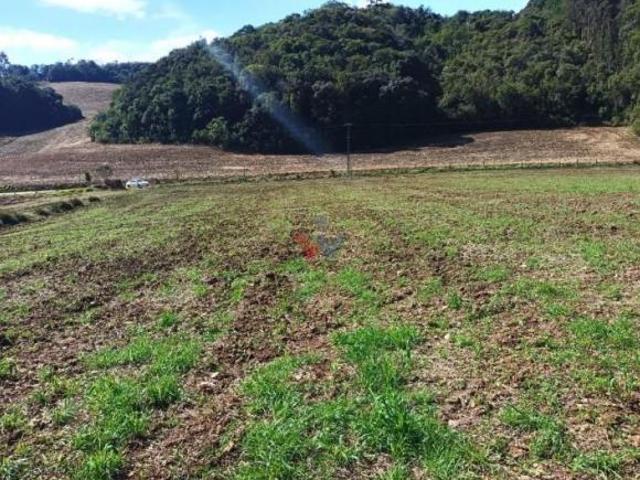 Terreno para venda em Campo Magro de 24080.00m²