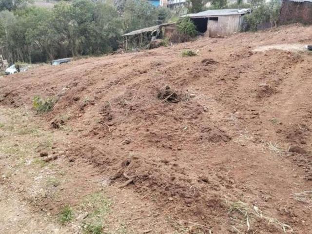 Terreno para Venda em Campo Magro, Samambaia