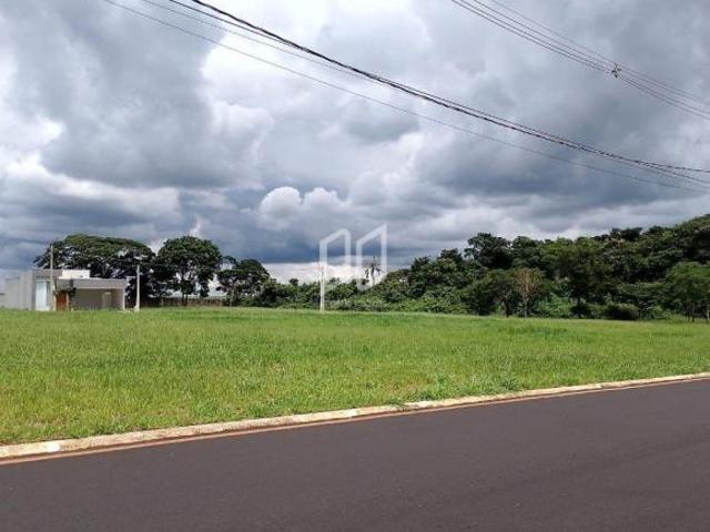 Terreno para venda em Machados de 250.00m²