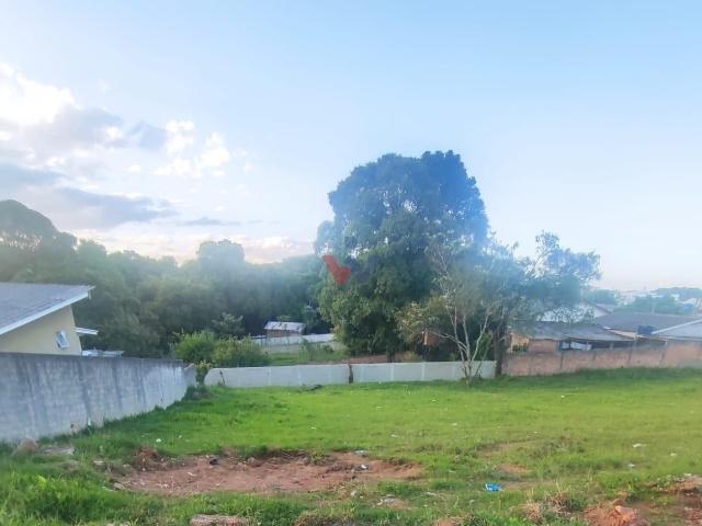 Terreno para venda em Campina Da Barra em Araucária Paraná de 332.00m²