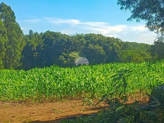 Terreno para venda em Campinas Belas de 280631.00m²