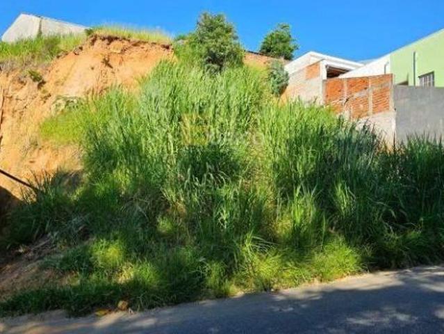 Terreno para venda em Capela de 261.68m²