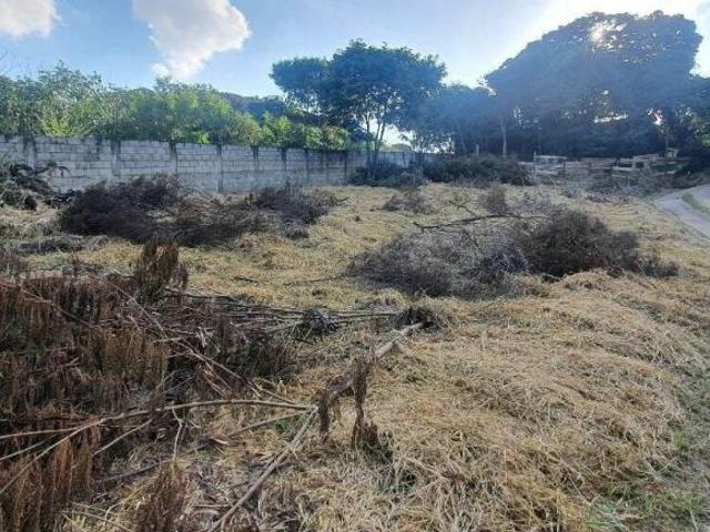 Terreno para venda em Capela de 7070.00m²
