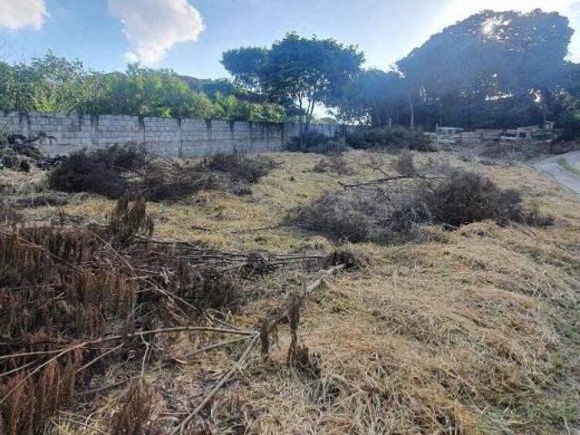 Terreno para venda em Capela de 7070.00m²