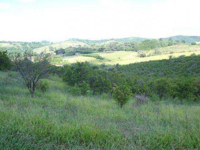 Terreno para venda em Capela Velha de 90000.00m²