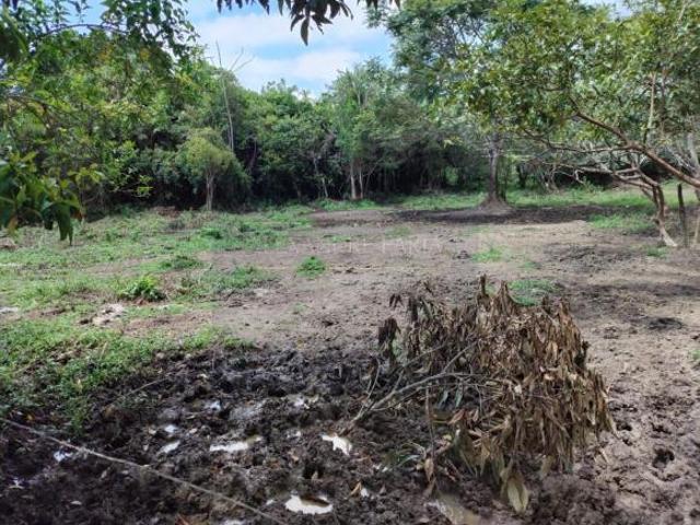 Terreno para Venda em Caraguatatuba, Balneário Recanto do Sol