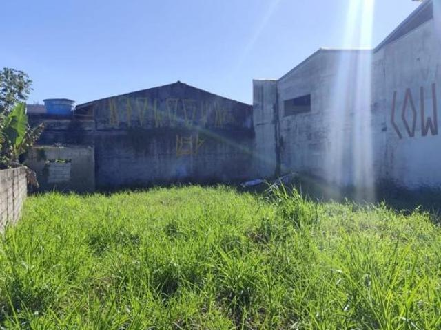 Terreno para Venda em Caraguatatuba, Praia das Palmeiras