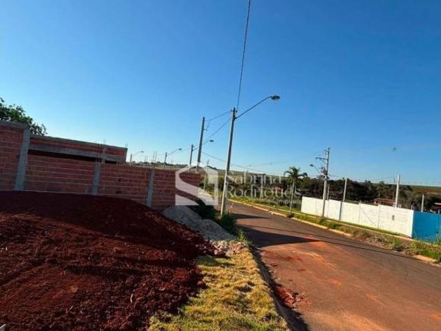 Terreno para venda em Cardeal de 214.00m²