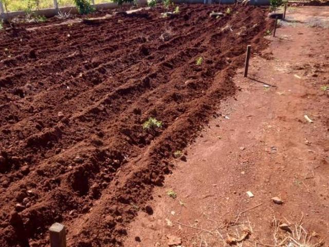 Terreno para Venda em Cascavel/PR 0 Dorm. 1000 m2 Área Útil