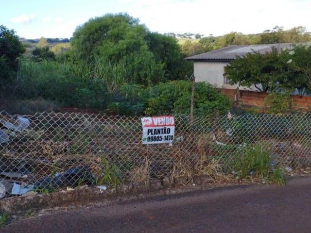 Terreno para Venda em Cascavel/PR 0 Dorm. 564 m2 Área Útil