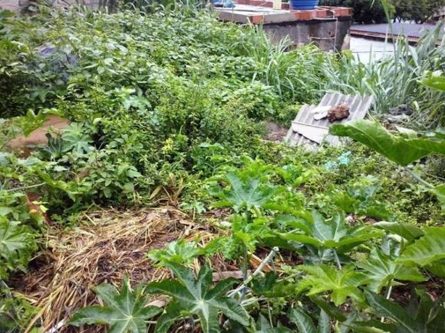 Terreno para venda em Céu Azul, Belo Horizonte