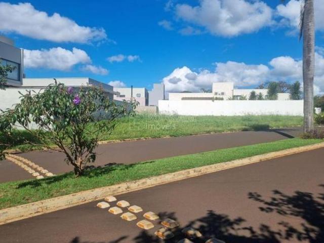 Terreno para venda em Cedros Do Campo de 739.00m²