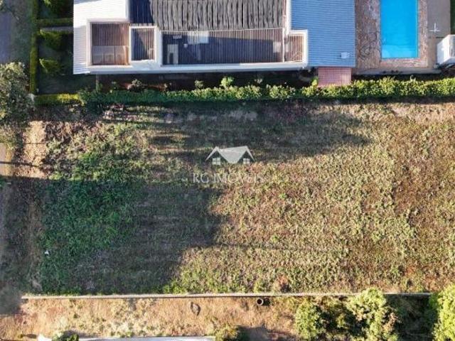 Fazenda para venda em Centro, Mário Campos