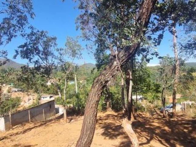 Terreno para venda em Centro, Mário Campos