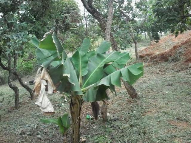 Terreno para venda em Centro, Mateus Leme