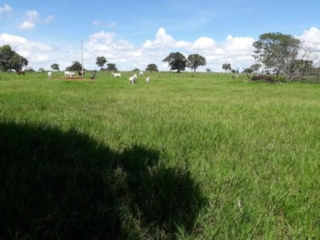 Terreno para venda em Centro, Novo São Joaquim