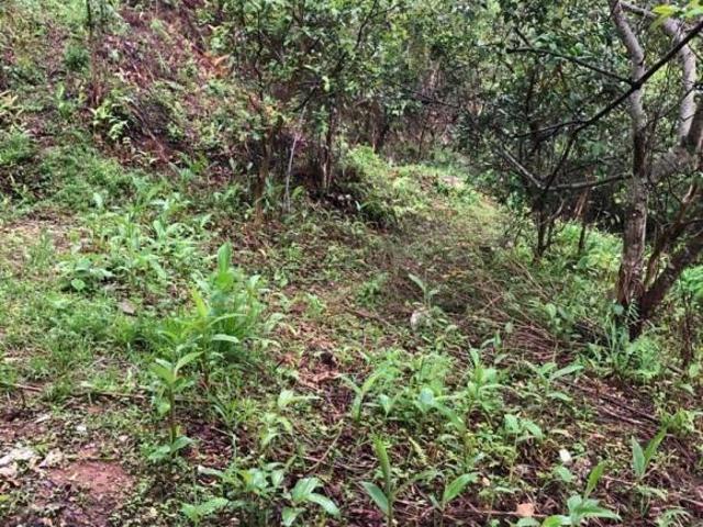 Terreno para venda em Centro, Ouro Preto