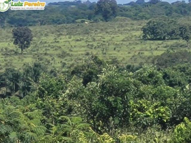 Terreno para venda em Centro, Aparecida do Taboado