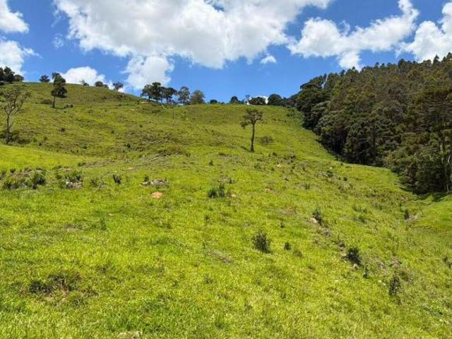 Terreno para venda em Centro, Bueno Brandão