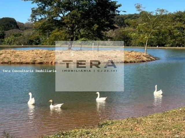 Terreno para venda em Centro, Bela Vista de Goiás