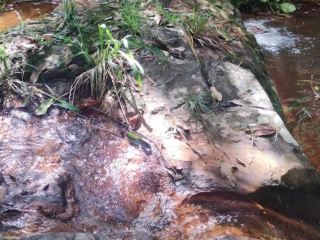 Terreno para venda em Centro, Bom Jesus do Amparo