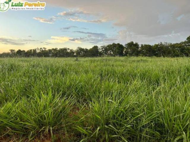 Terreno para venda em Centro, Camapuã