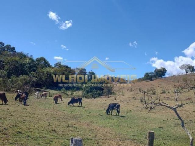 Terreno para venda em Centro, Cambuí