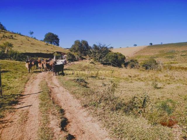 Terreno para venda em Centro, Cambuí